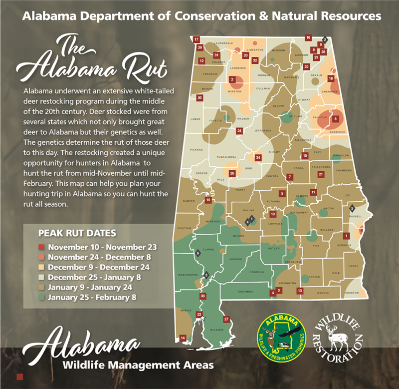 WFF’s Rut Map Gives Hunters Useful Planning Tool – Quad Cities Daily