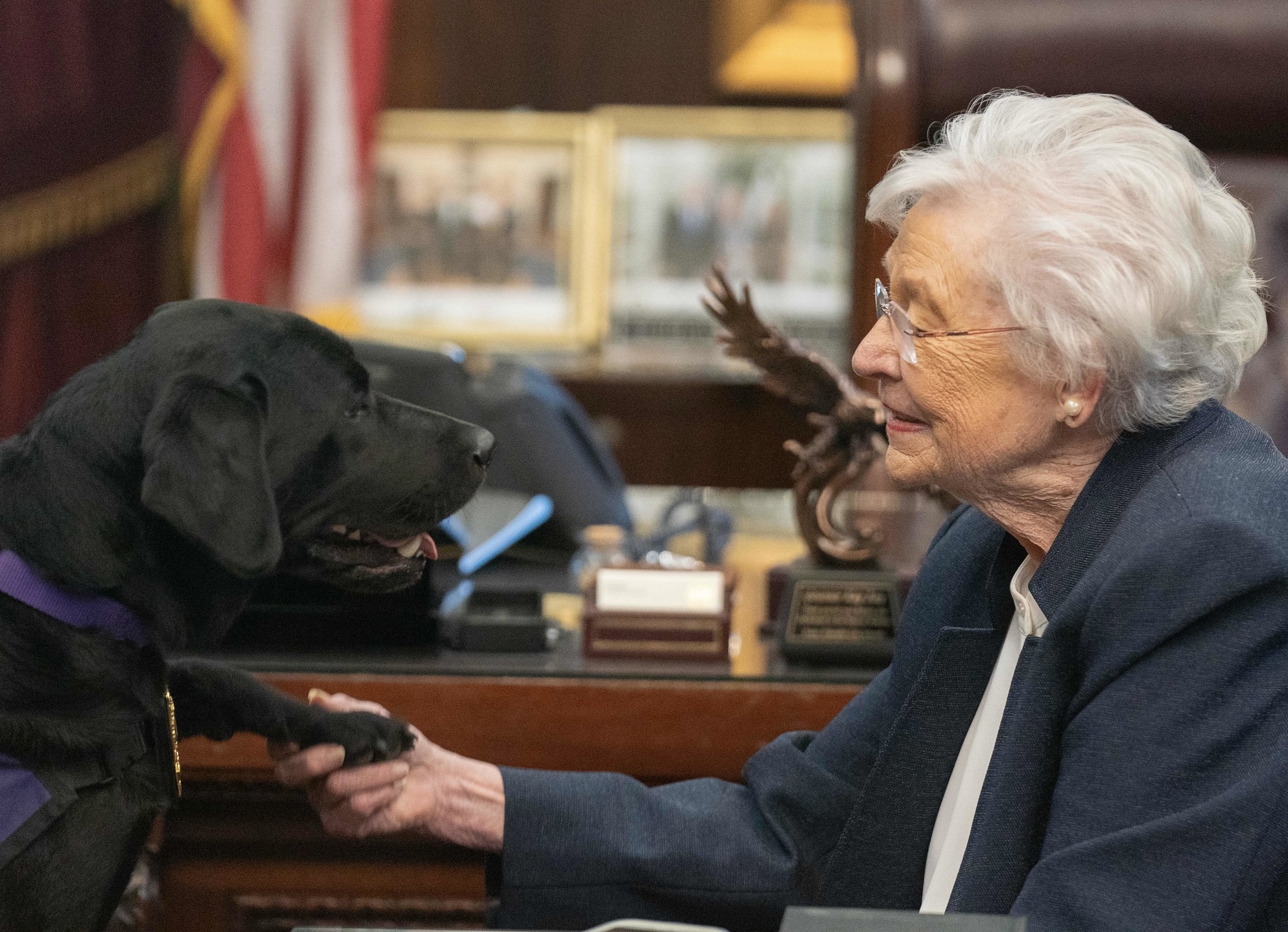 Governor Ivey Announces Vaquito, the Work Zone Safety Dog, as Honorary ...